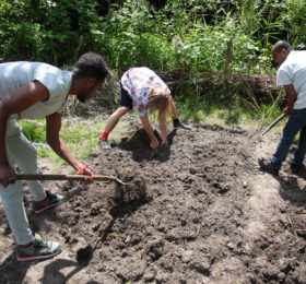 ASKV | Steunpunt Vluchtelingen